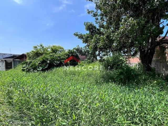 Lote em Rua Porto Alegre Gaivota Praia Itanhaém/SP