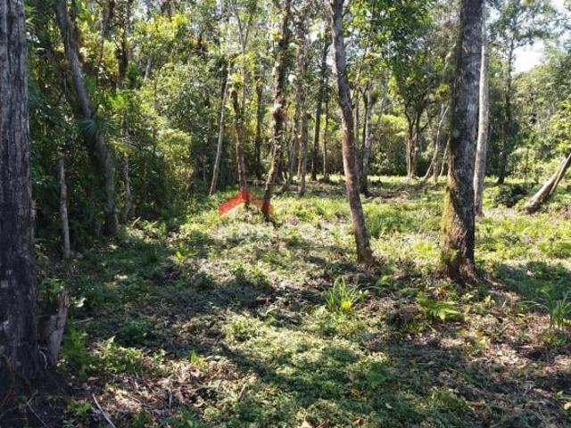 Lote em Rua Plínio Antônio Branco, Q31 Lote22 Jardim Aguapeu Itanhaém/SP