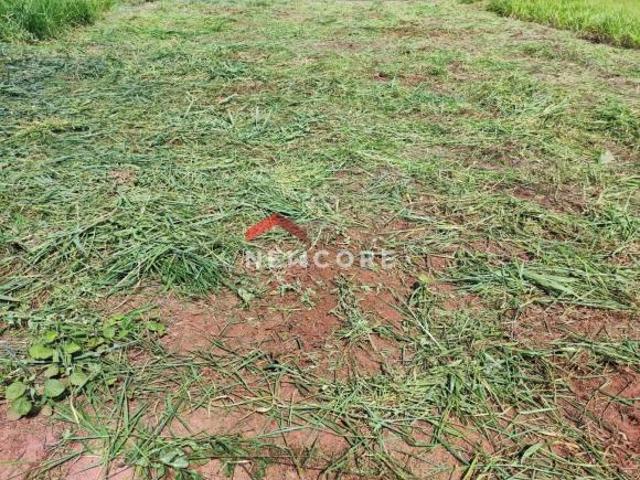 Lote em Rua Rita Santos Netto Forlin Jardim Colorado Olímpia/SP