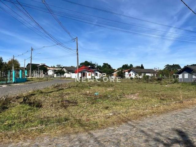 Lote em Rua São Francisco de Assis Querência São Francisco de Paula/RS