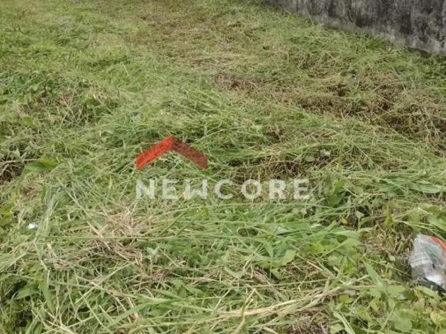 Lote em Rua São Miguel Agenor de Campos Mongaguá/SP