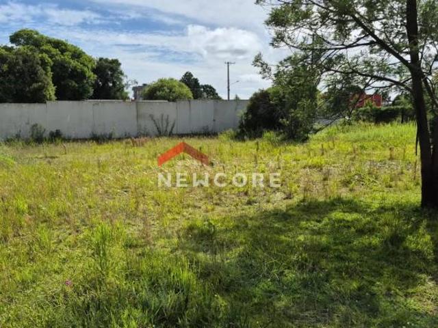 Lote em Rua Santos Dumont Centro São Francisco de Paula/RS