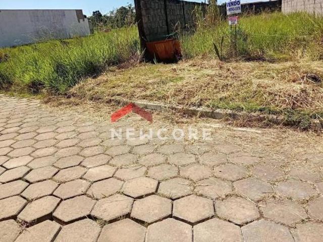 Lote em Ruas das Andorinhas Estância Santa Izabel Caraminguava Itariri/SP