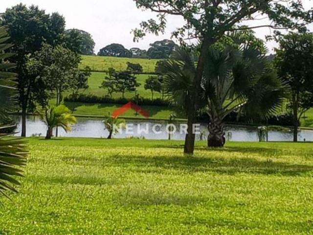 Lote em Rod. Campinas Mogi km 127 Centro Jaguariúna/SP