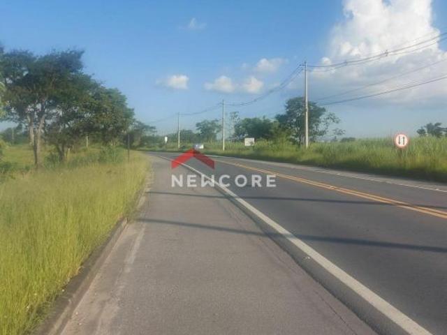 Lote em Rodovia Floriano Rodigues Pinheiros Rodovia Rodrigues Pinheiro Tremembé/SP
