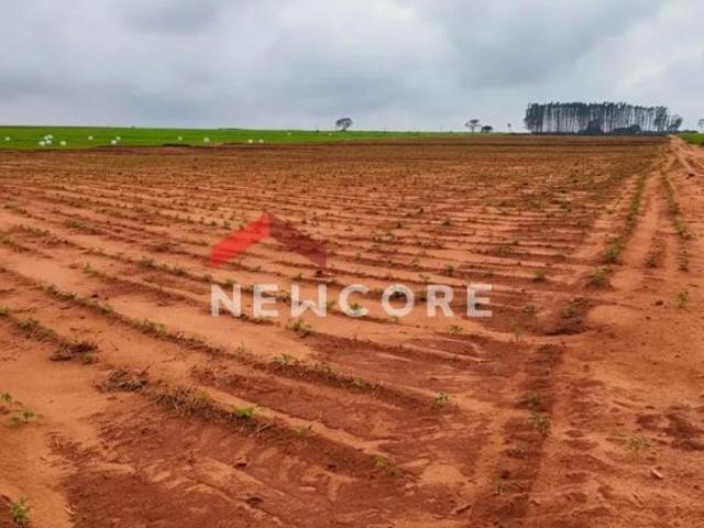 Lote em Rodovia Pr 218 Rodovia Nova Esperança/PR
