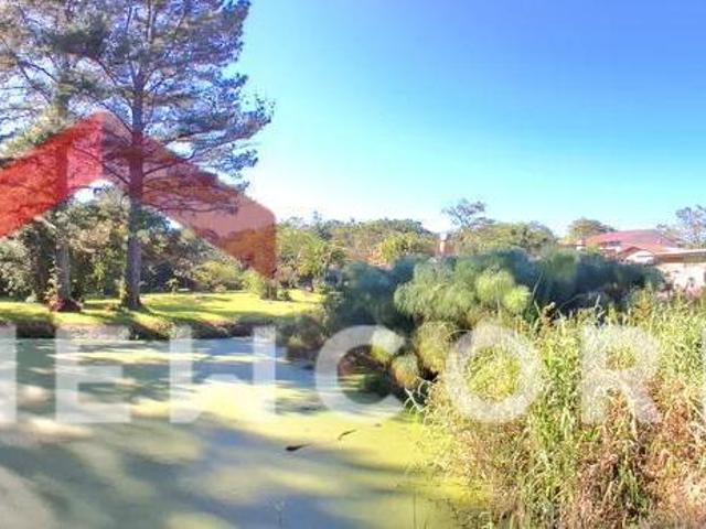 Lote em Rodovia Teixeirinha Morungava II Morungava Gravataí/RS