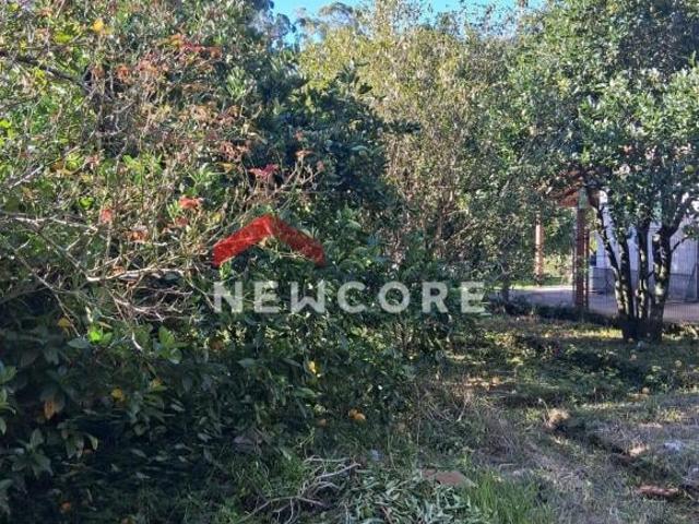 Lote em Rodovia Teixeirinha Morungava II Morungava Gravataí/RS