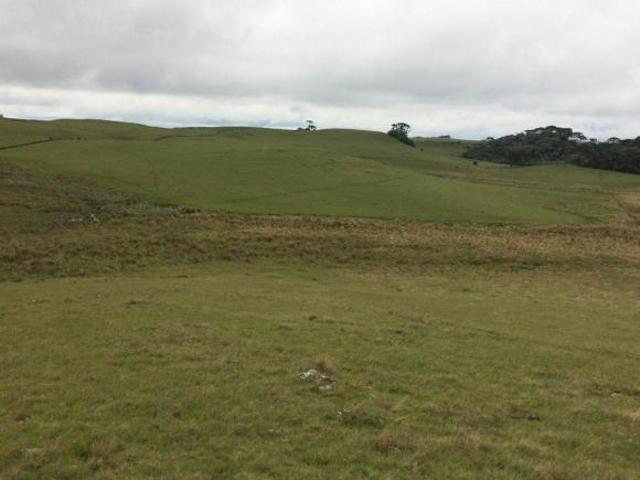 Lote em São Francisco de Paula Centro São Francisco de Paula/RS