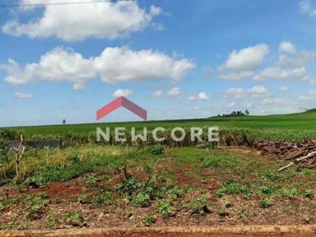 Lote em São Miguel do Iguaçu Centro São Miguel do Iguaçu/PR