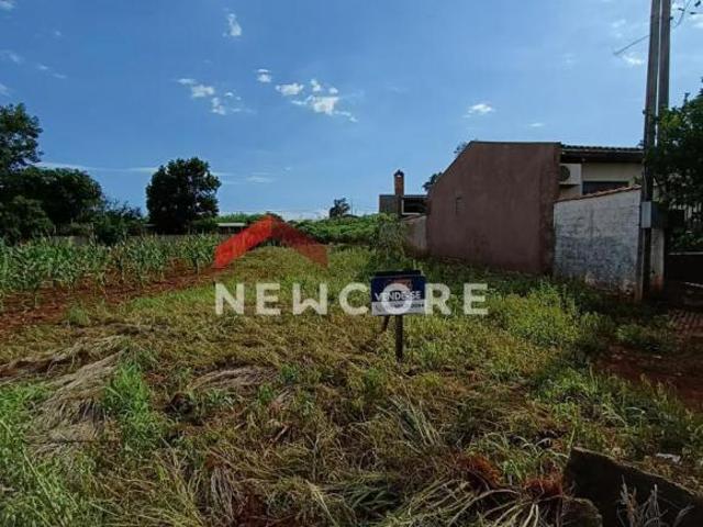 Lote em São Miguel do Iguaçu São Jorge São Miguel do Iguaçu/PR