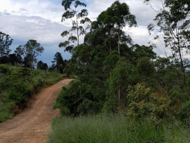 Lote em São Roque para quem busca tranquilidade