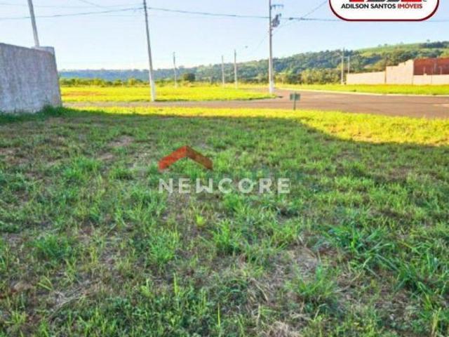 Lote em Santa Cruz da Conceição Centro Santa Cruz da Conceição/SP