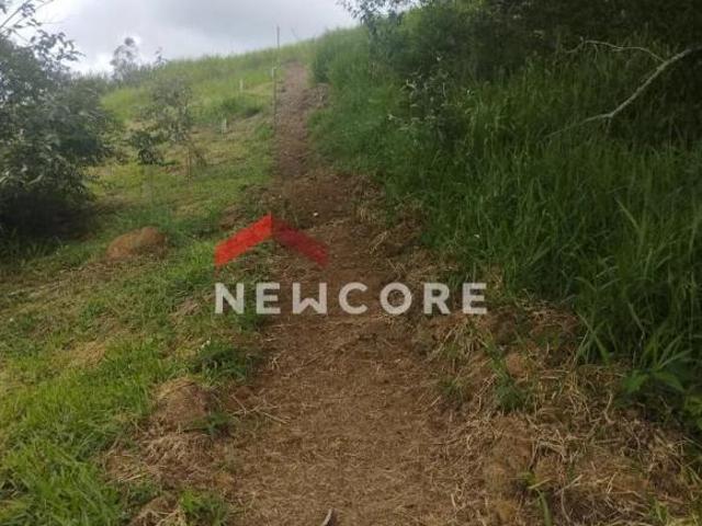 Lote em Vila de Luis Carlos Luis Carlos Guararema/SP