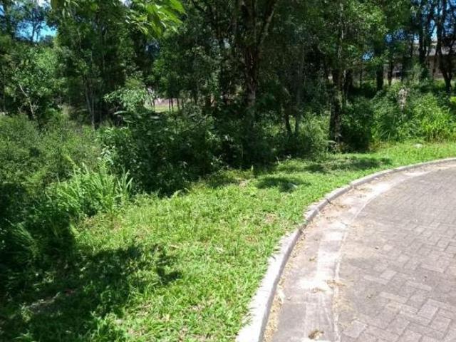 Lote em vivendas do arvoredo Carniel Gramado/RS