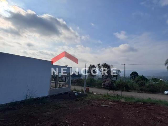 Lote em Walter Schuck Alto Vila Rosa Dois Irmãos/RS
