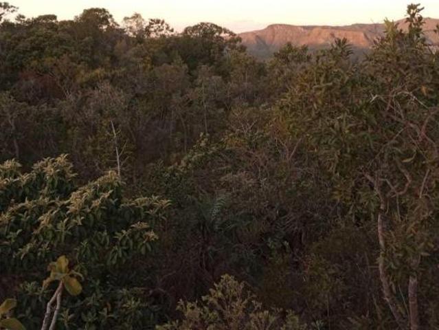 LOTE FRENTE A RESERVA E VISTA DA SERRA