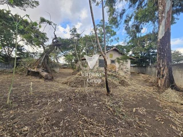 Lote Grande no Jardim Petrópolis – Ideal para Empresas, Clínicas ou Moradia com Espaço