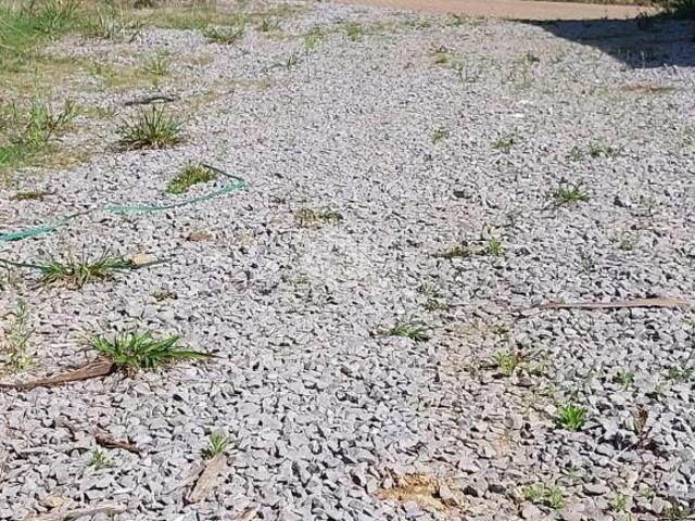 Lote Industrial no Bairro São Roque