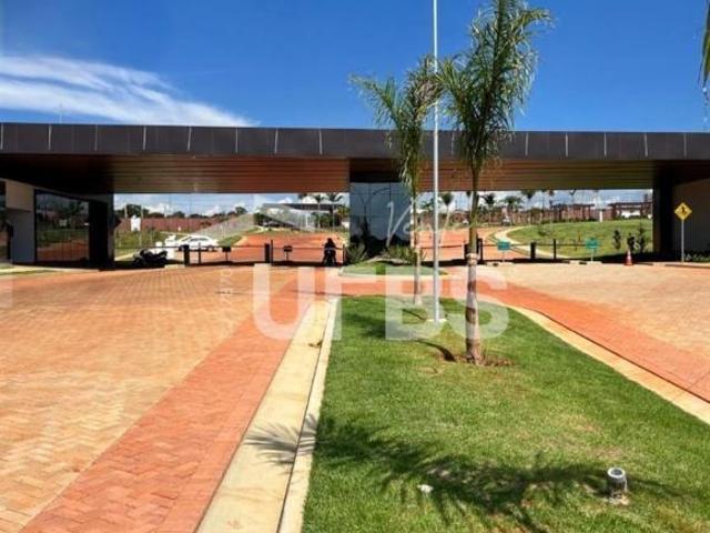 Lote Jardins Parma