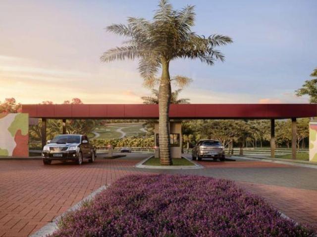 Lote Jardins Turim