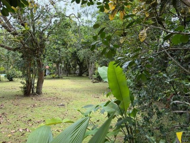 Lote liberado para construção na Praia de Itamambuca, lado par