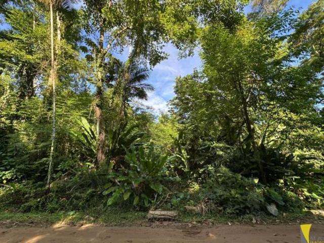 Lote liberado para construção imediata na Praia de Itamambuca