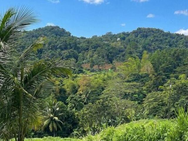 Lote Los Benites Unit Sector, San Juan, Plot For Sale
