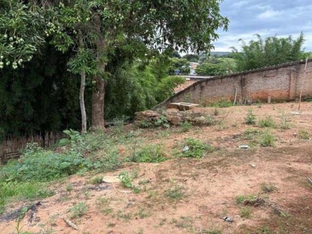 Lote para venda Centro Luminárias