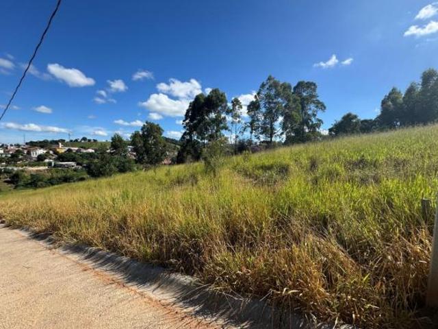 Lote para Venda, Centro