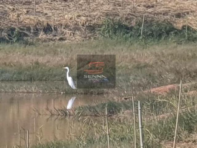 Lote para Venda em Cotia, Parque Alexandre, 2 dormitórios, 1 suíte, 2 banheiros, 2 vagas