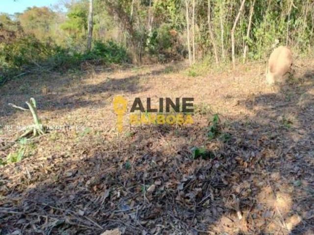 Lote para Venda em Contagem, Vila Ipê Amarelo