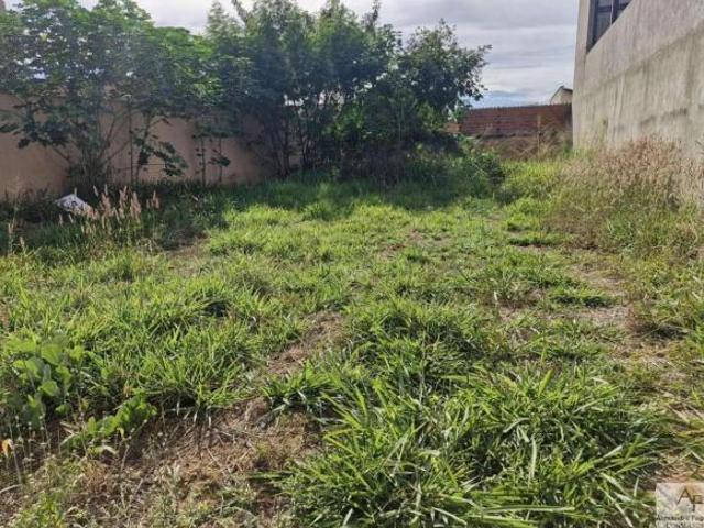 Lote para Venda em Aparecida de Goiânia, Jardim Cristal