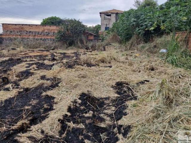 Lote para Venda em Aparecida de Goiânia, PARQUE DAS NAÇÕES