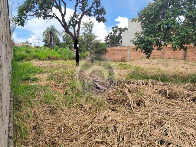Lote para Venda em Lagoa Santa, Joá