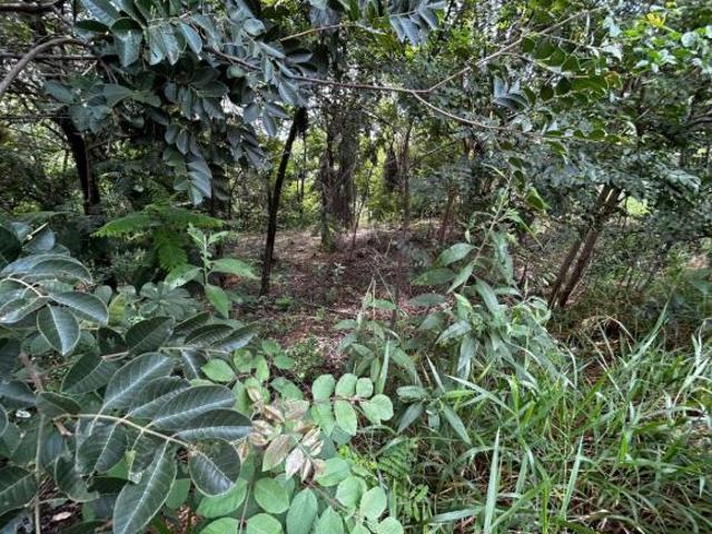 Lote para Venda em Lagoa Santa, Residencial Paineiras