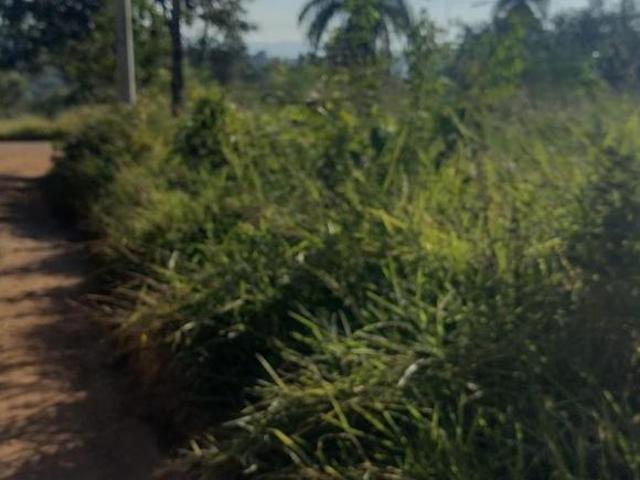 Lote para Venda em Mateus Leme, Paraiso