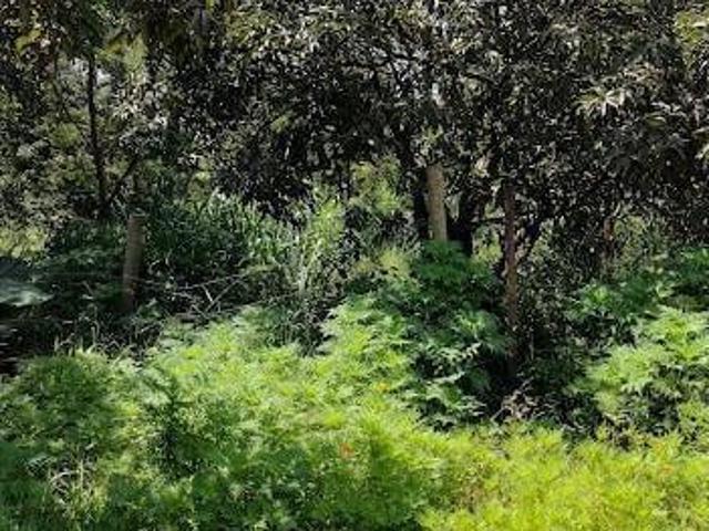 Lote para Venda em São Joaquim de Bicas, Nazare