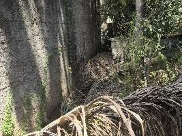 Lote para Venda em São Joaquim de Bicas, TUPANUARA