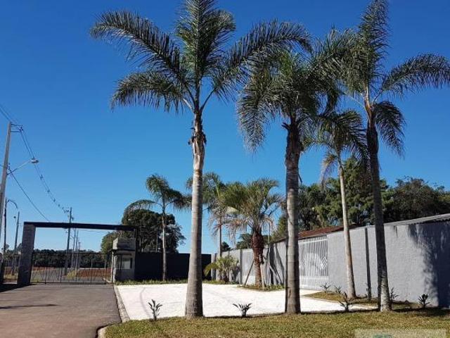 Lote para Venda em São José dos Pinhais, Campo Largo da Roseira