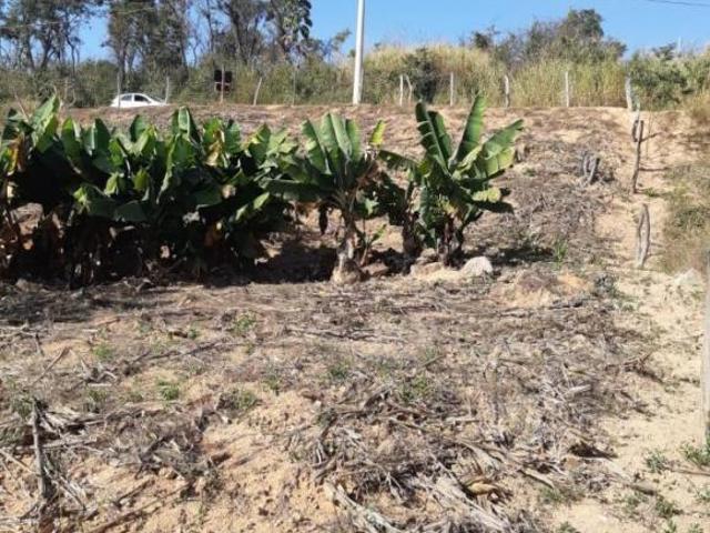 Lote para Venda em Sarzedo, Masterville