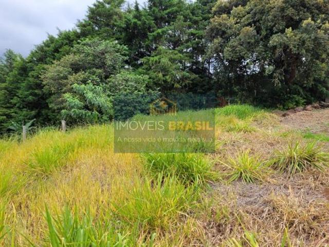 Lote para venda em Paraisópolis MG