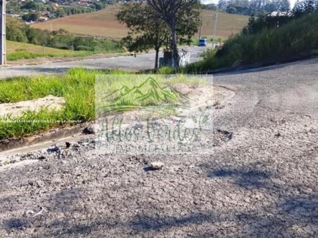 Lote para Venda em Pinhalzinho