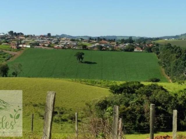 Lote para Venda em Pinhalzinho