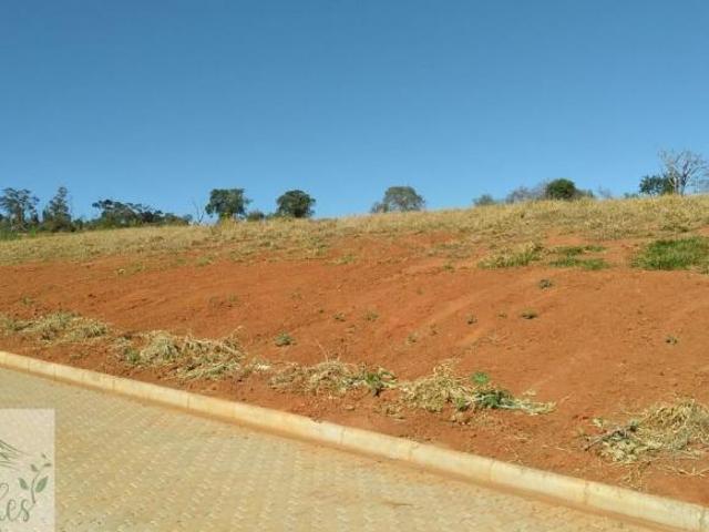 Lote para Venda em Pinhalzinho, VISTA DOS PINHEIROS
