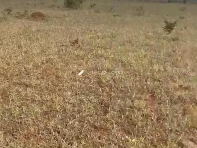 Lote para venda Elvas Tiradentes