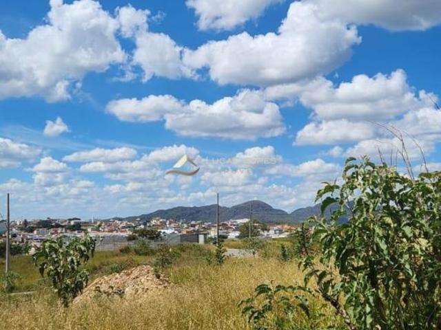 Lote para venda Novo Horizonte São João Del Rei