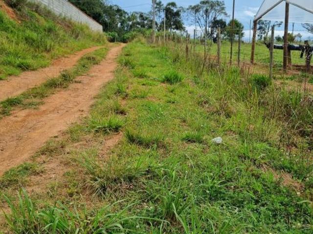 LOTE PARA VENDA, Senador Amaral / MG