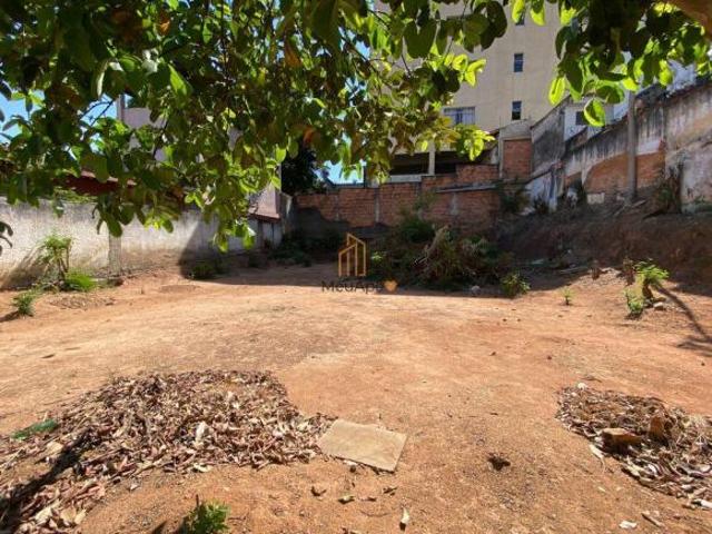 Lote plano no Caiçara com 330m² 15m x 23m e fácil saída para Av. Dom Pedro II