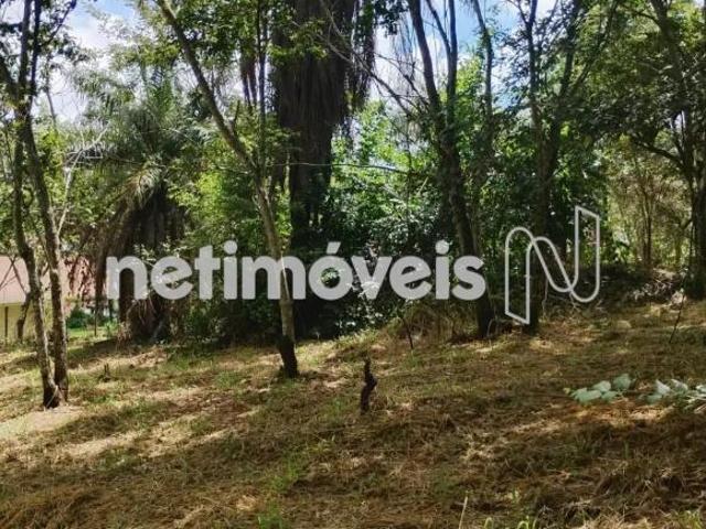 Lote Plano no Condomínio Vale do Tamanduá – Espaço, Natureza e Qualidade de Vida